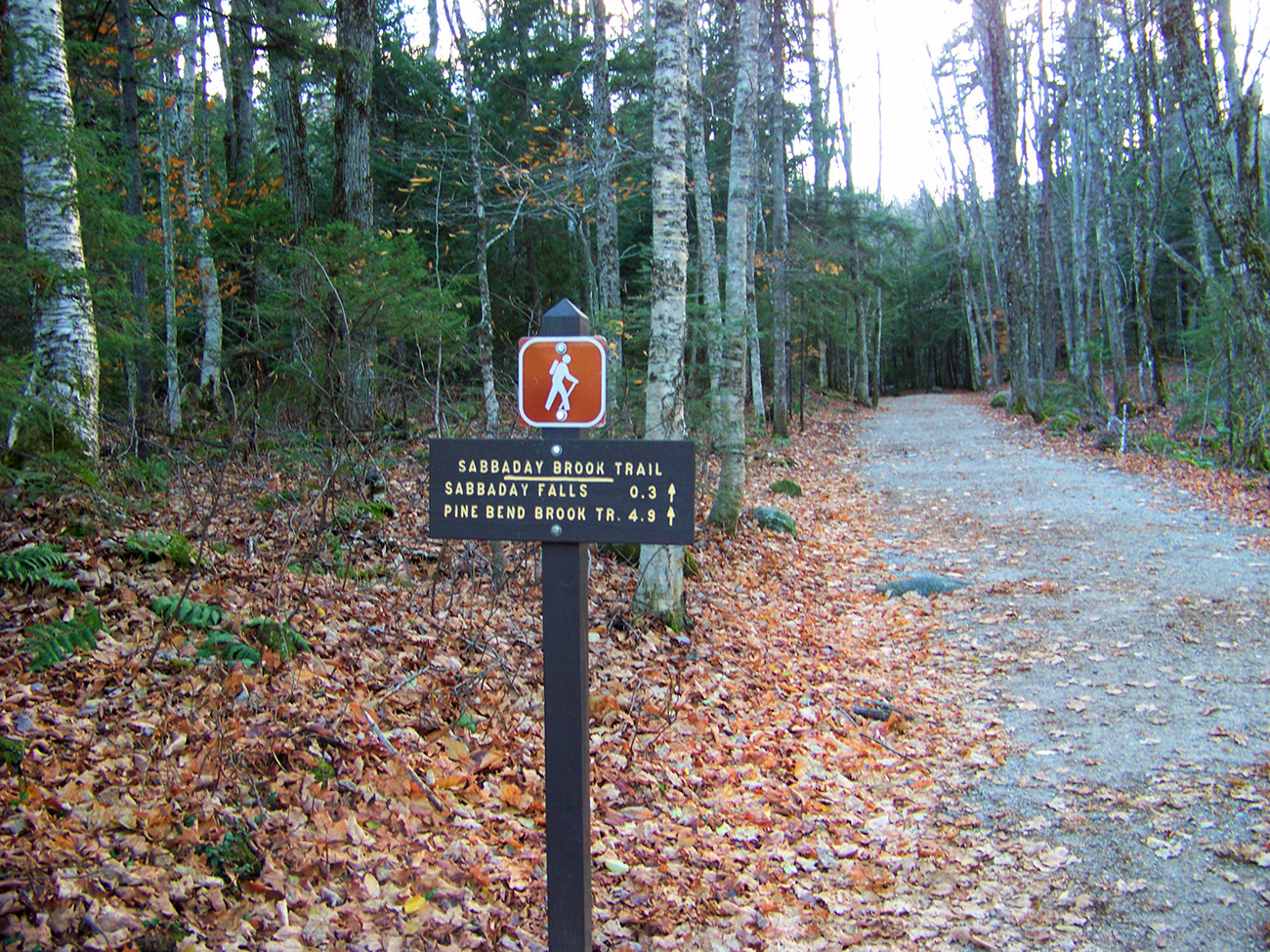 Sabbaday Falls Albany NH NH - Attractions for People With Disabilities