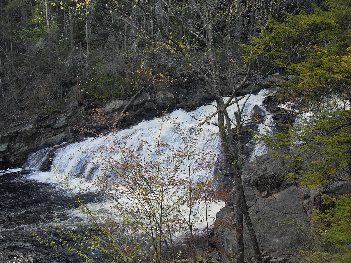 Profile Falls Bristol NH NH - Photo Worthy