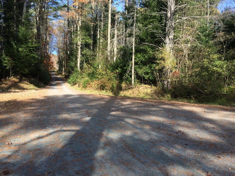 Pattenville Picnic Area at Moore Reservoir Littleton NH NH - Picnic Spots